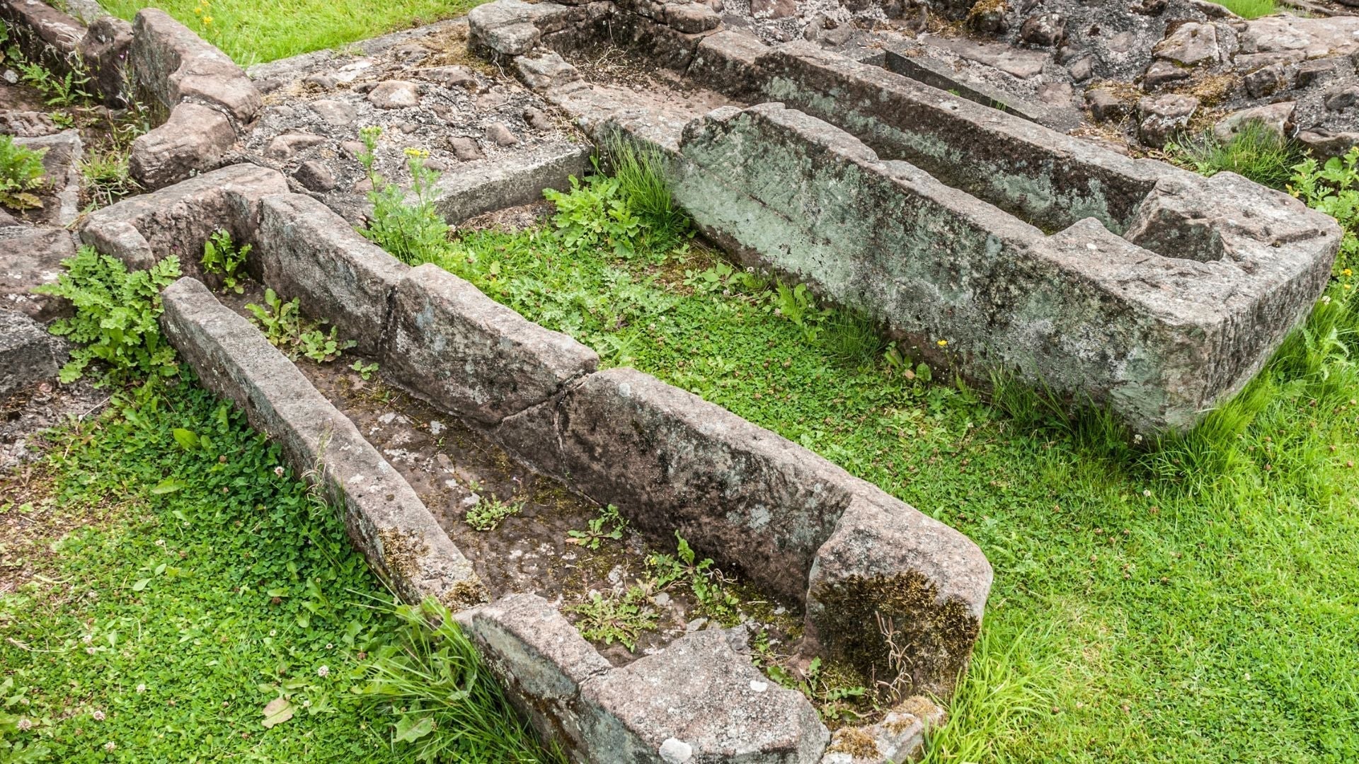 A Short History of When Coffins Started Being Used in Burials | Funeral ...