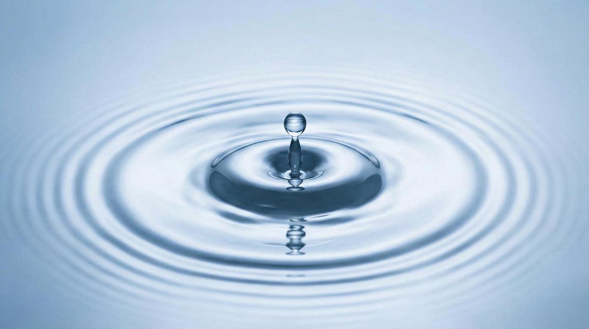 Aquamation (Water Cremation) in Tennessee (2026): Legal Status, Provid ...