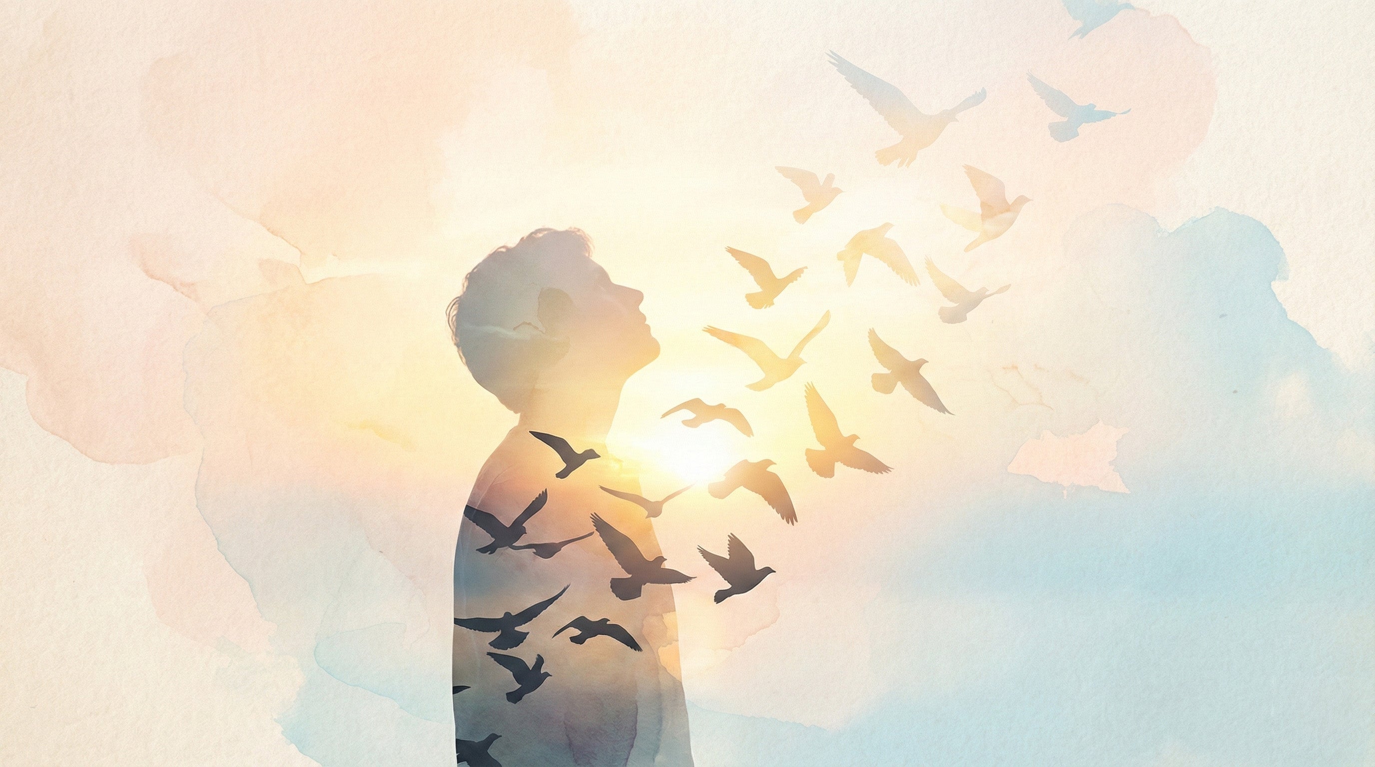 Bird Symbolism After Loss: What Birds Can Represent in Grief and Cultu ...