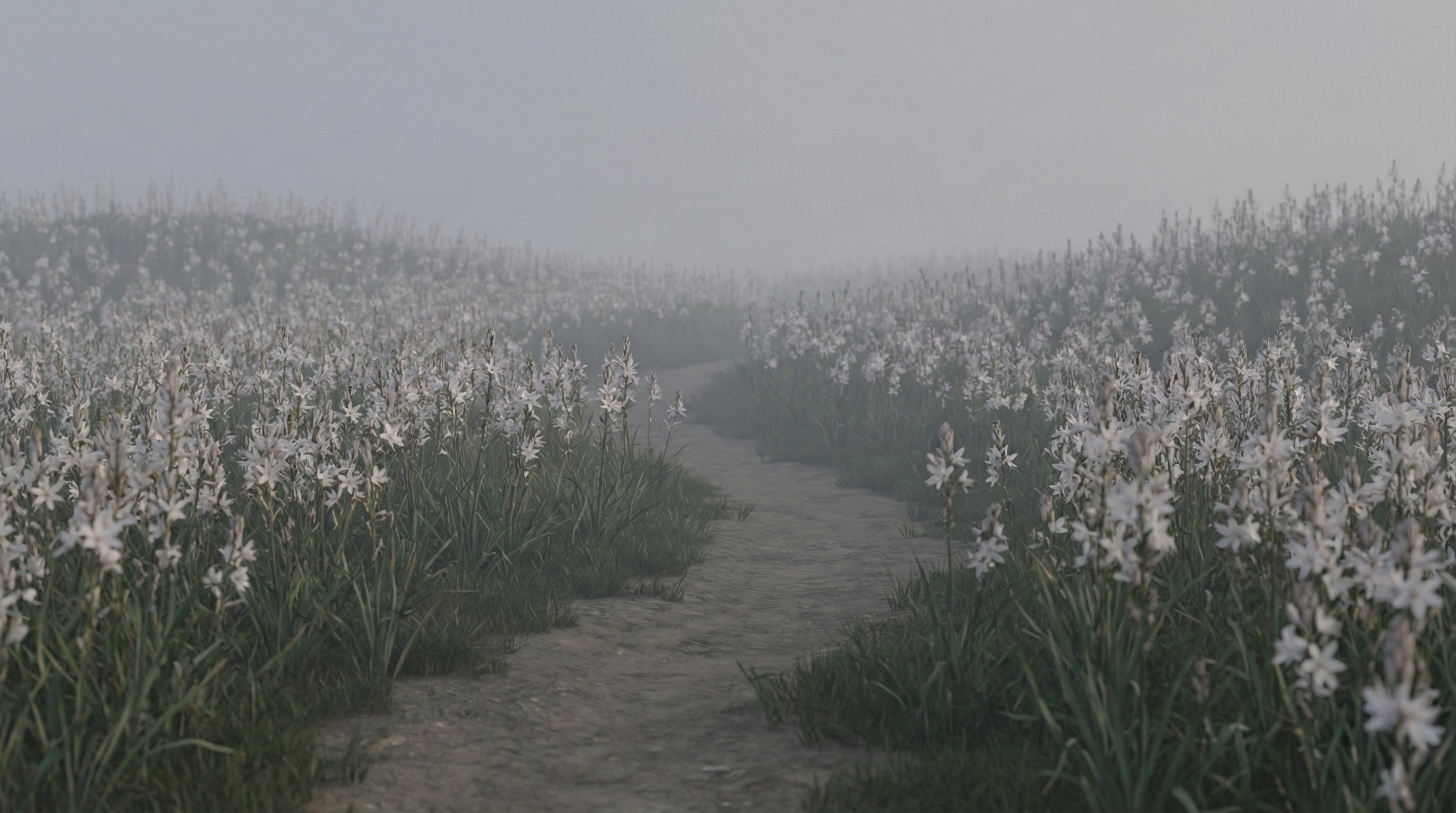 Fields of Asphodel: The ‘Middle’ Afterlife in Greek Myth (Not Heaven ...