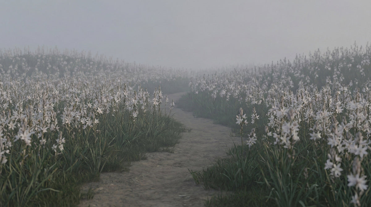 Fields of Asphodel: The ‘Middle’ Afterlife in Greek Myth (Not Heaven ...