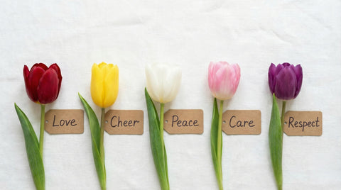 Tulip Meaning by Color: What Red, Yellow, White, Pink & Purple Tulips ...