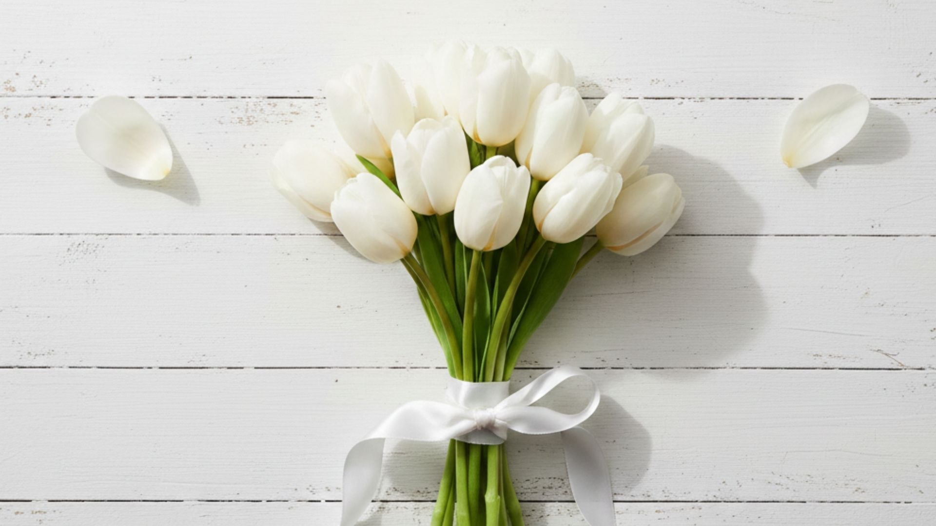 Tulip Symbolism & White Tulip Meaning: What They Represent and When to ...