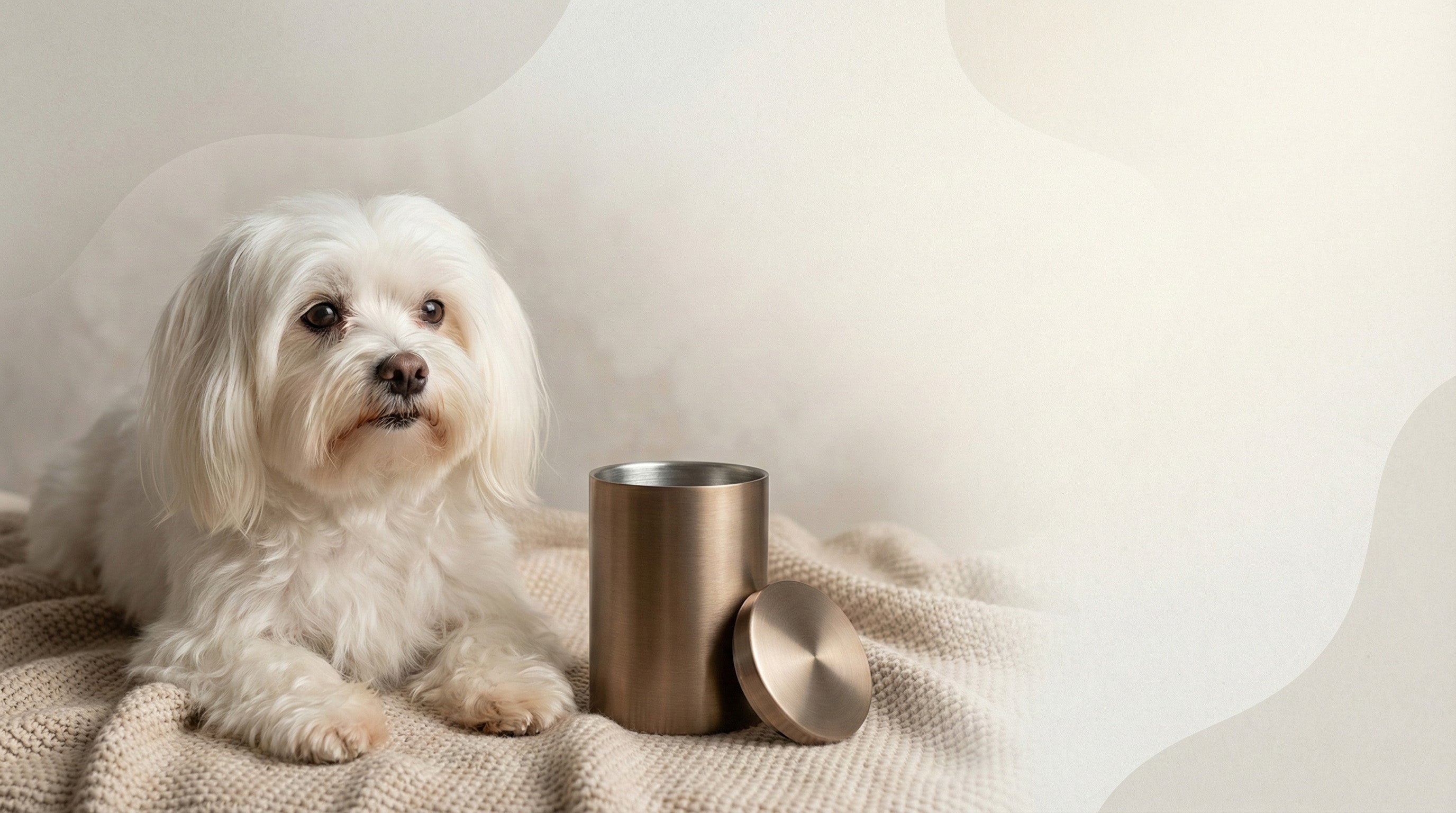 Urn Size for a Maltese: Cubic Inches Guide + Small Urn Recommendations ...