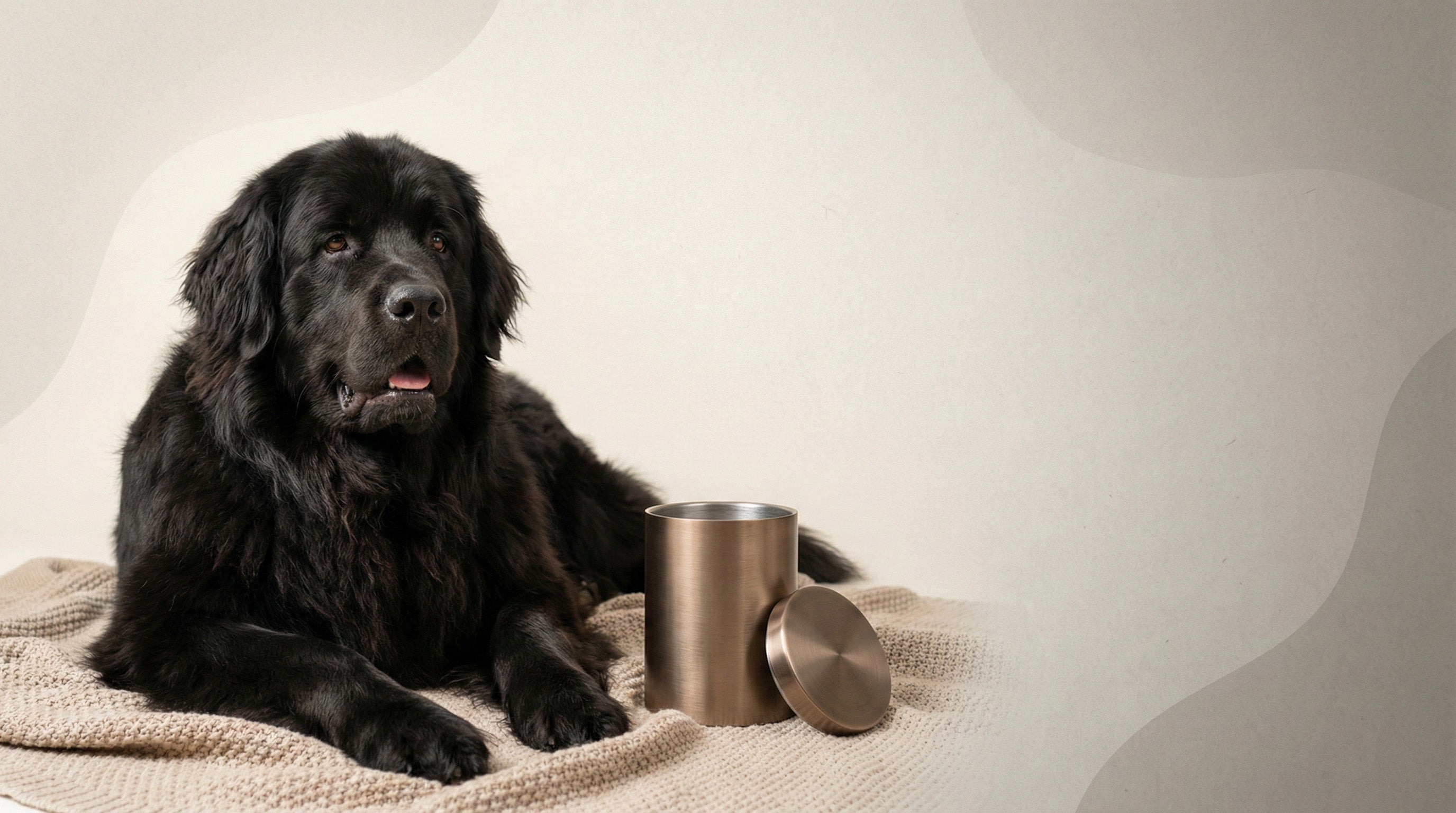 Urn Size for a Newfoundland: Cubic Inches Guide + XL Urn Recommendatio ...