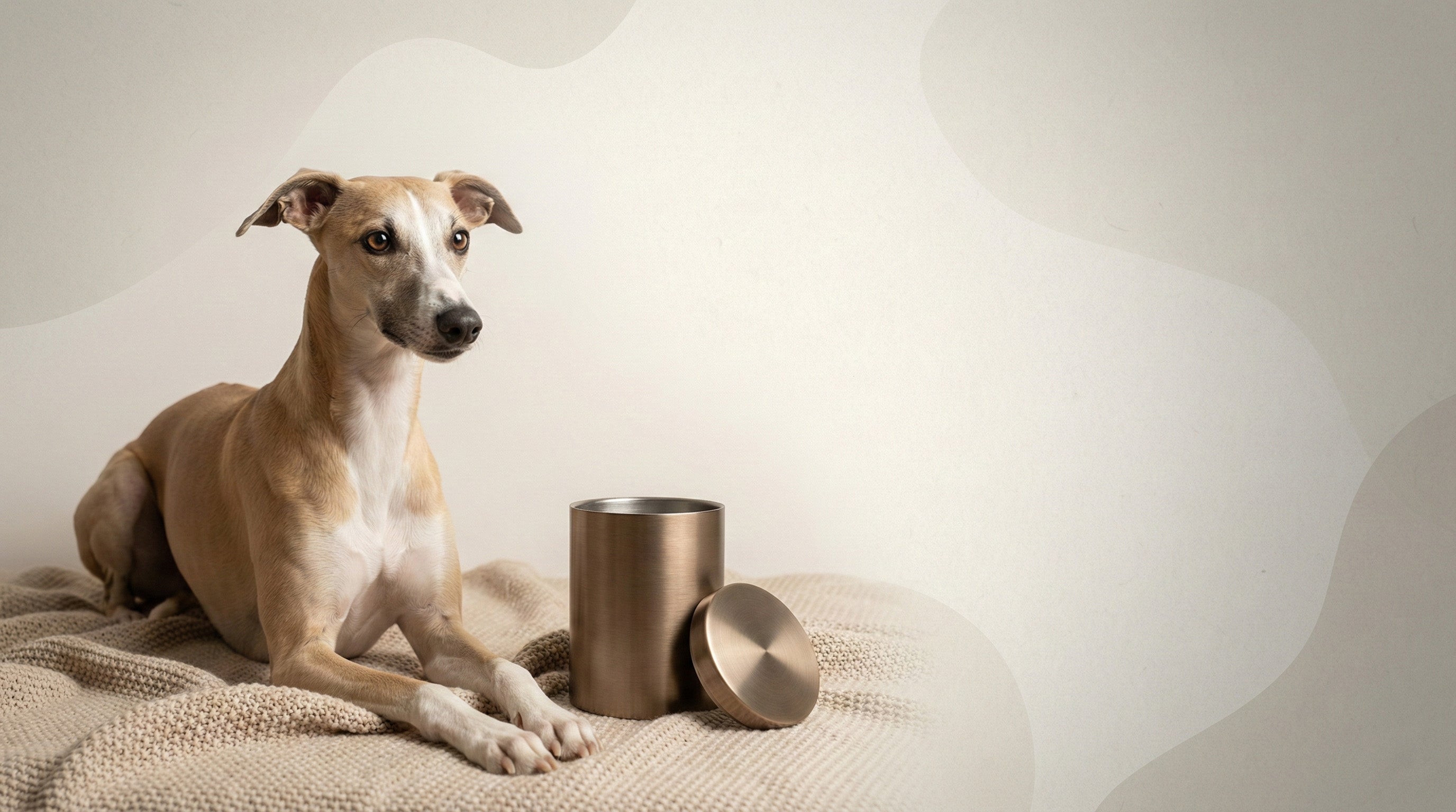 Urn Size for a Whippet: Cubic Inches Guide (Medium Urn Recommendations ...