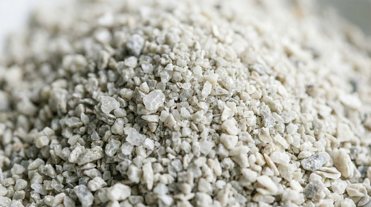 What Are Cremation Ashes Made Of? What “Cremains” Really Are and Why T ...