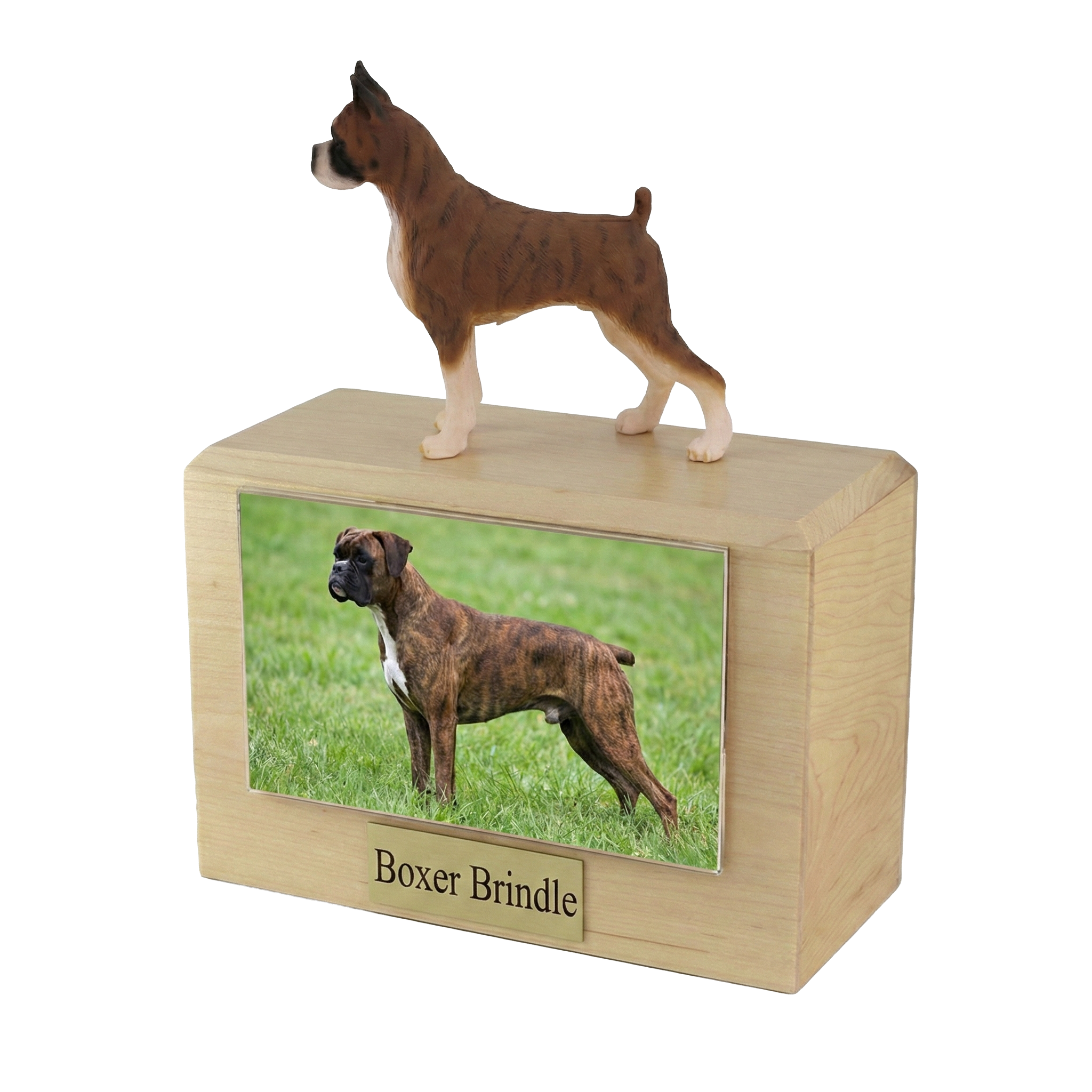 Wooden Pet Urn w/ Standing Boxer Brindle with Ears Up Figurine & 3.5x5 ...