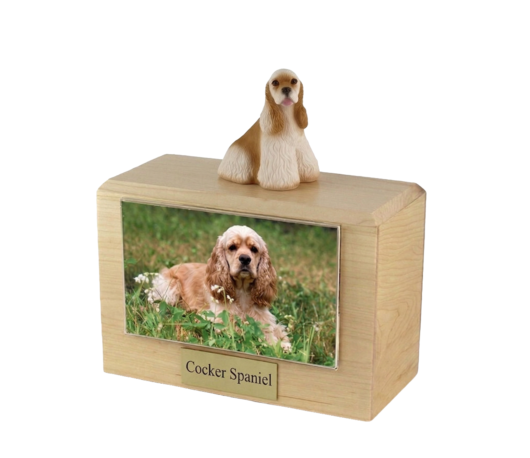 Wooden Pet Urn w/ Sitting Tan and White Cocker Spaniel Figurine & 4x6 ...