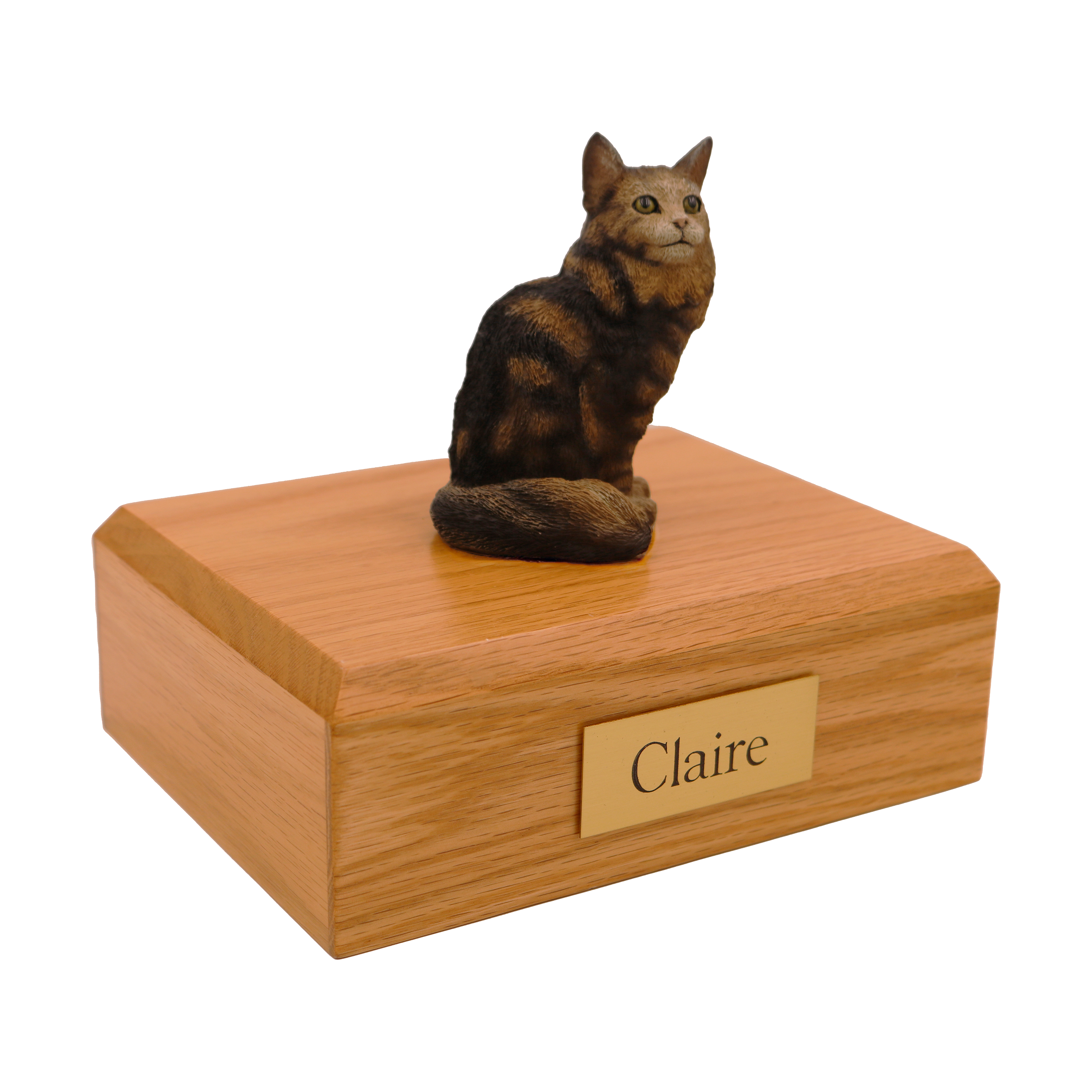 Brown & Tabby Maine Coon Pet Urn | Resin & Hardwood Cat Memorial ...