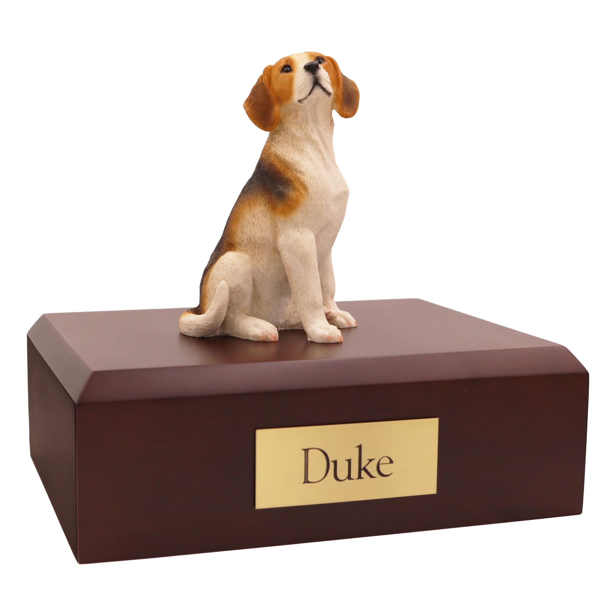 Beagle Sitting Figurine Pet Urn | Resin & Hardwood Base | Funeral.com, Inc.