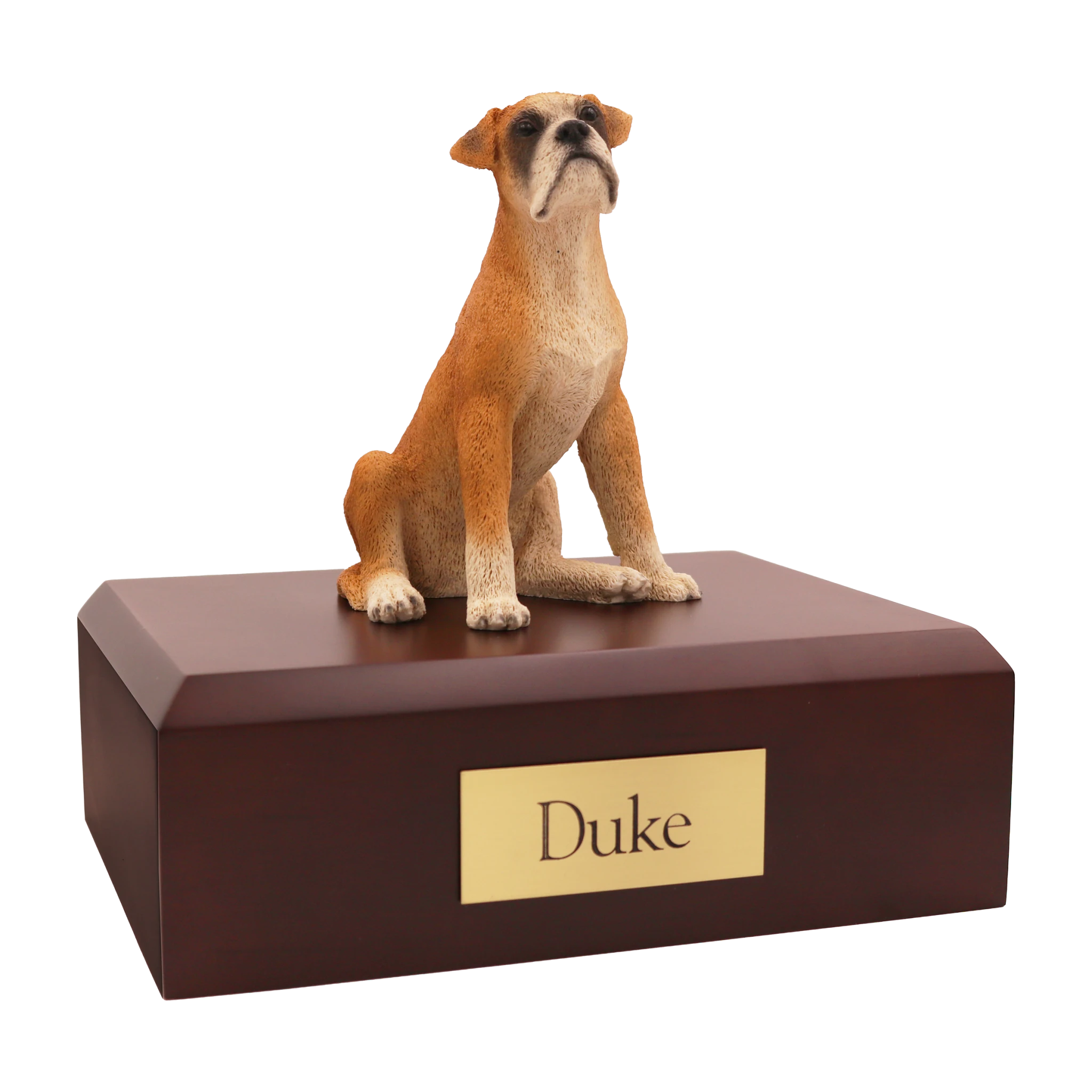 Boxer Ears Down Sitting Figurine Pet Urn | Resin & Hardwood Base ...