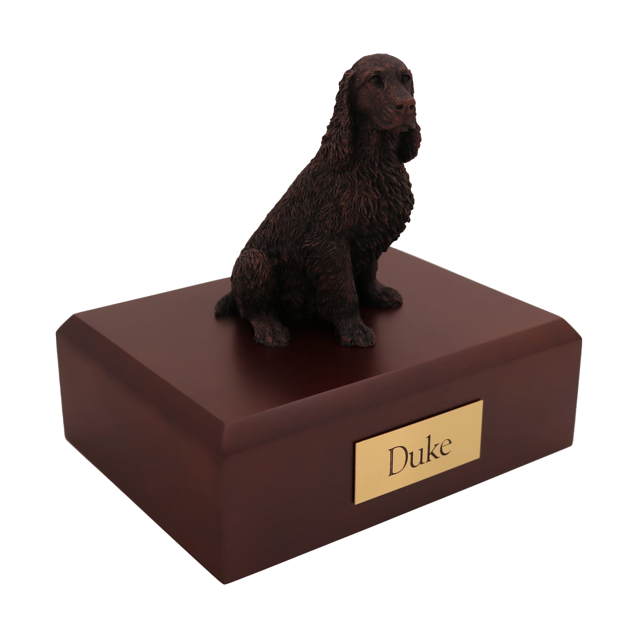Bronze Springer Spaniel Sitting Figurine Pet Urn | Resin & Hardwood ...