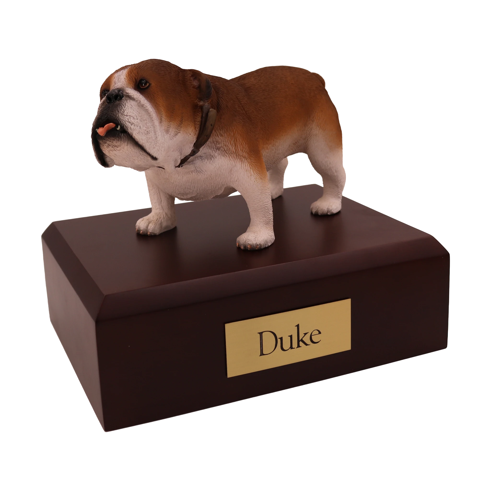 Brown and White Bulldog Figurine Cremation Urn | Standing Pose ...