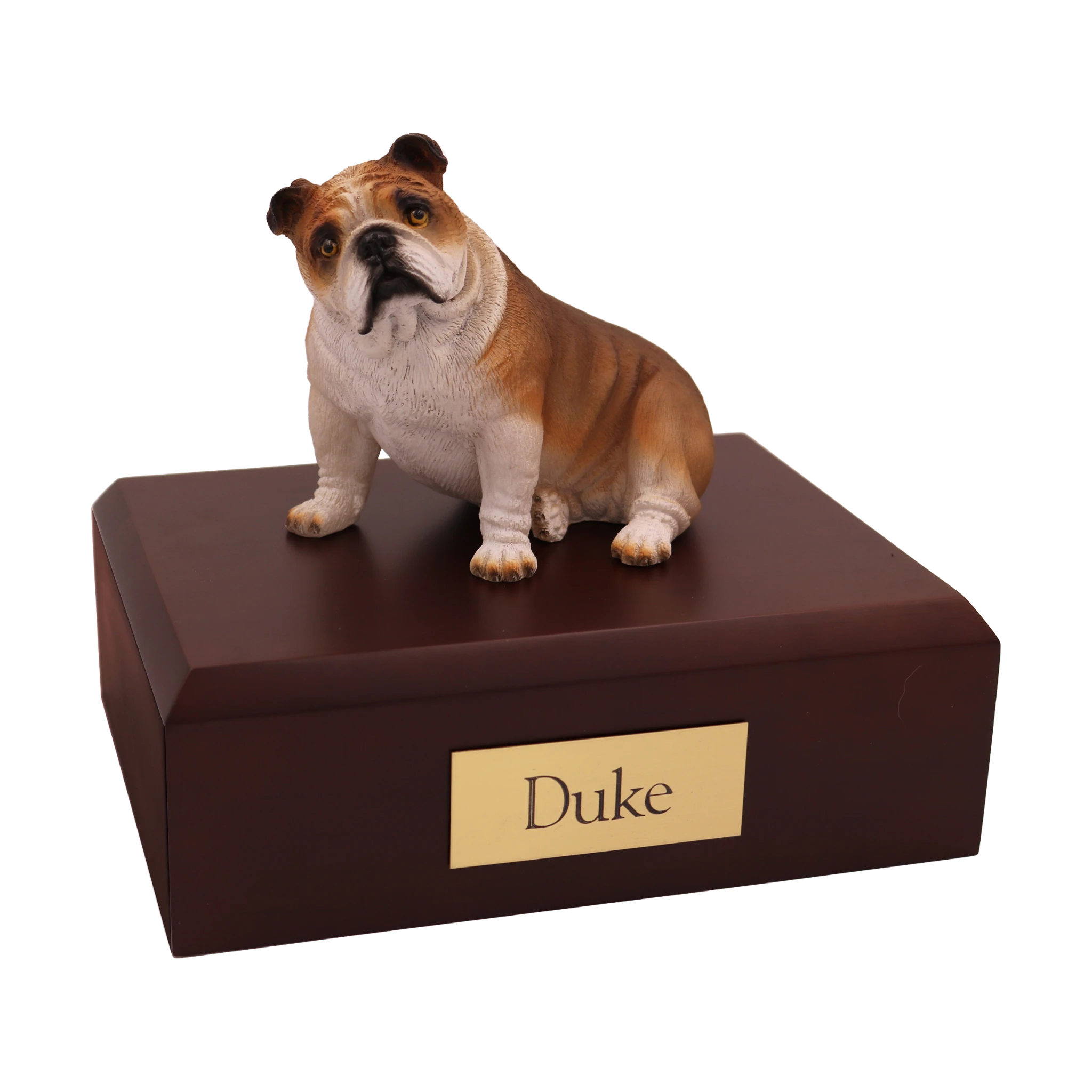 Fawn Bulldog Cremation Urn | Lifelike Resin Figurine Memorial | Funeral ...