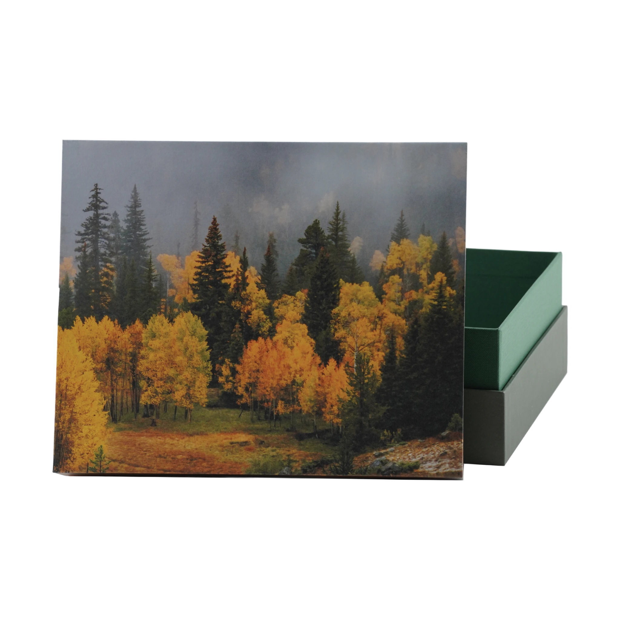 Golden Forest Hardboard Cremation Urn | Adult Size | Funeral.com, Inc.