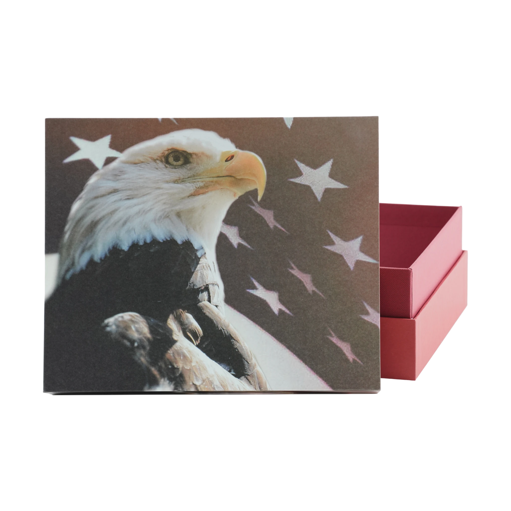 Patriotic Eagle Cremation Urn | Adult Size | Funeral.com, Inc.