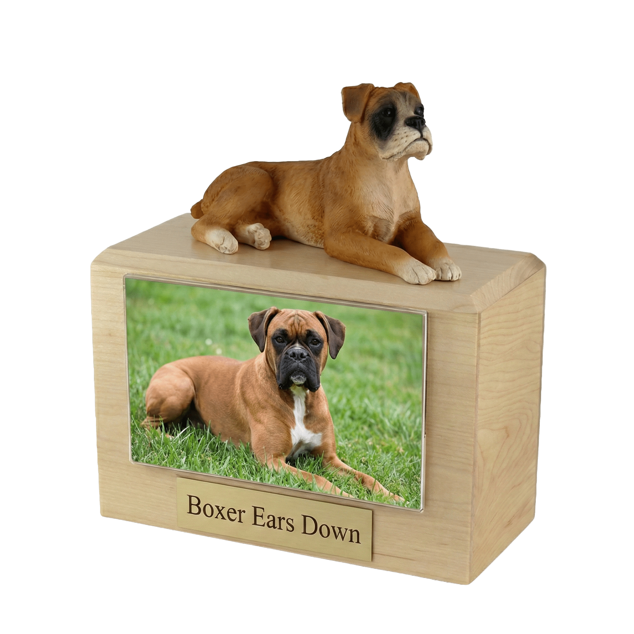Wooden Pet Urn w/ Lying Down Boxer with Ears Down Figurine & 4x6 Photo ...
