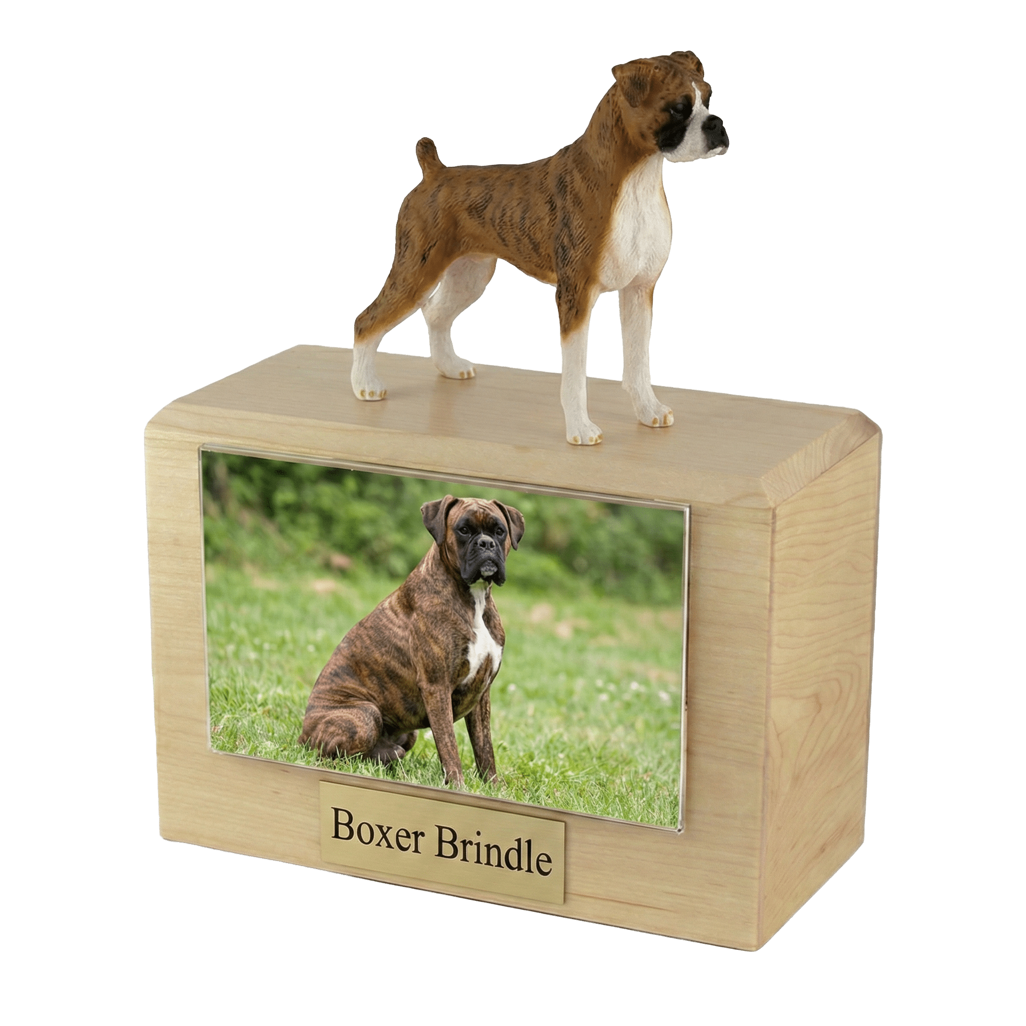 Wooden Pet Urn w/ Standing Boxer Brindle with Ears Down Figurine & 3 ...